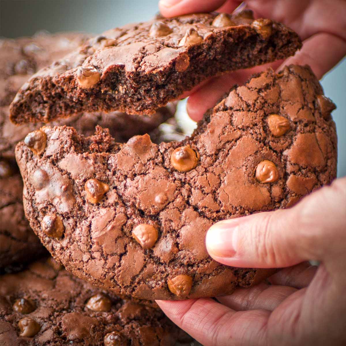 Galletas de chocolate {Riquísimas} (con VIDEO) | esdelicious.com